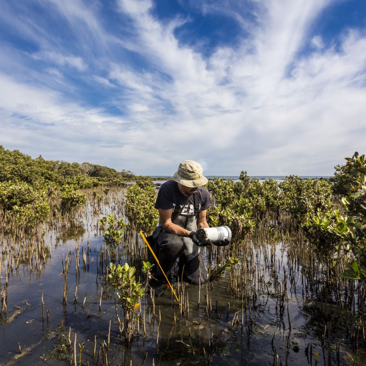 Online Master's Degree in Ecosystem Science and Sustainability | CSU Online